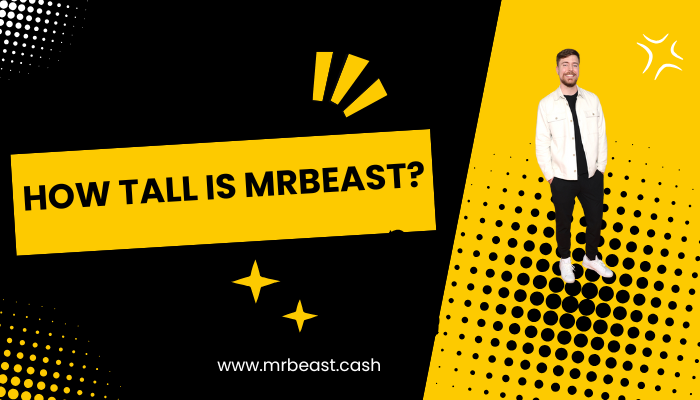 How Tall is MrBeast?